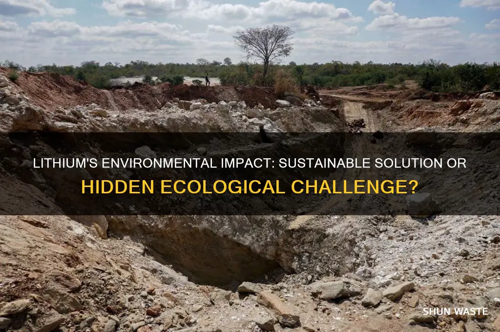 Lithium's Environmental Impact: Sustainable Solution Or Hidden ...