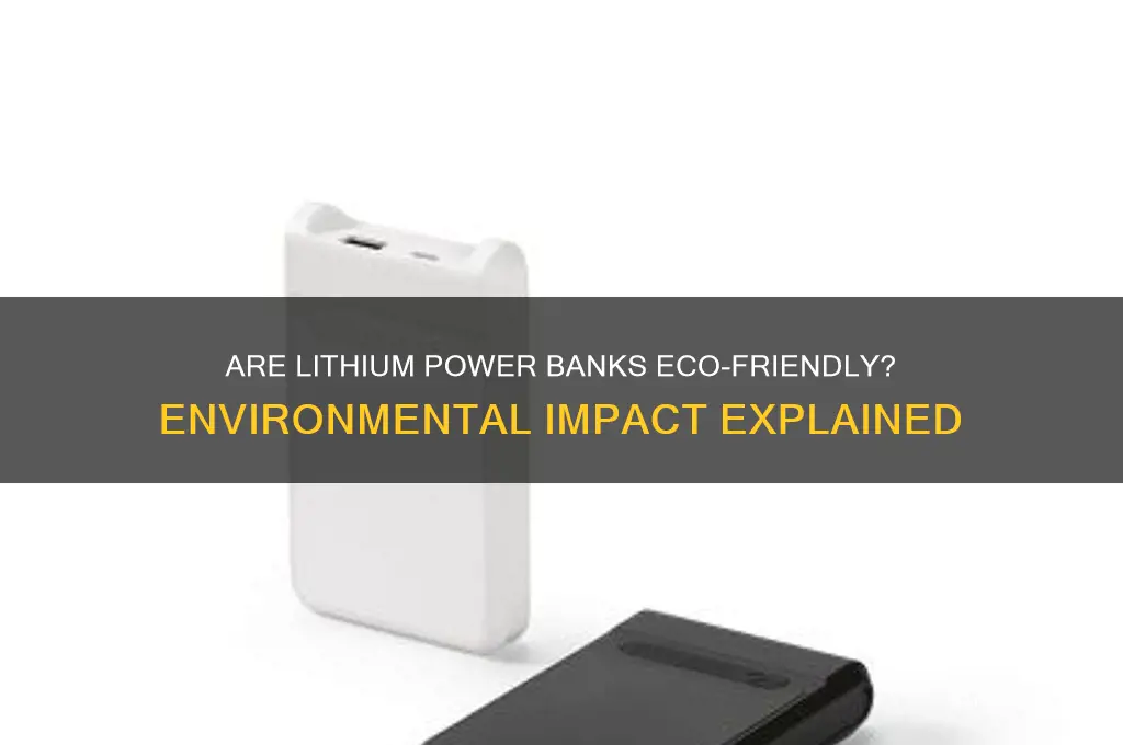 Are Lithium Power Banks Eco-Friendly? Environmental Impact Explained ...