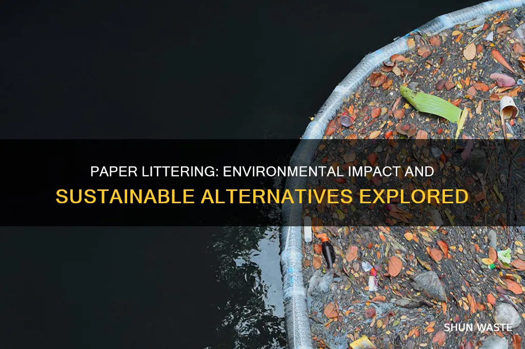 Paper Littering: Environmental Impact And Sustainable Alternatives ...