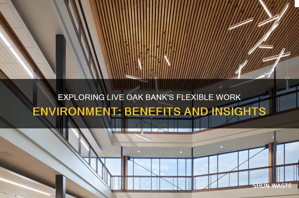 Exploring Live Oak Bank's Flexible Work Environment: Benefits And ...