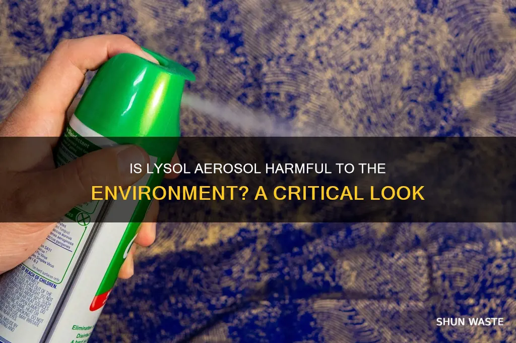 Is Lysol Aerosol Harmful To The Environment? A Critical Look | ShunWaste