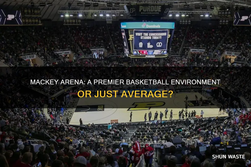 Mackey Arena: A Premier Basketball Environment Or Just Average? | ShunWaste