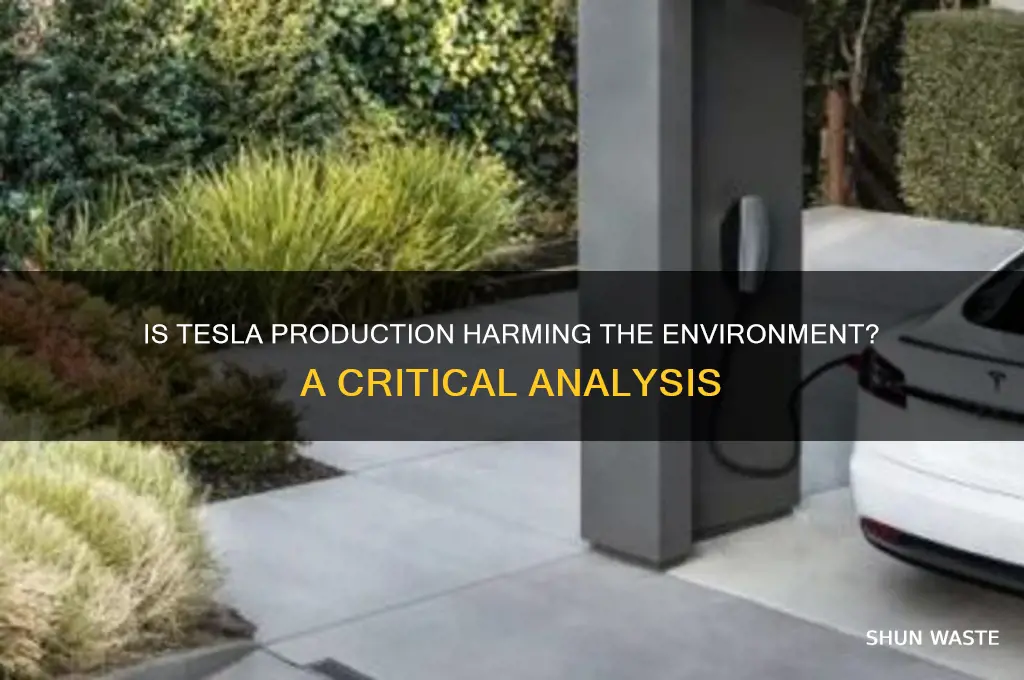 Is Tesla Production Harming The Environment? A Critical Analysis ...