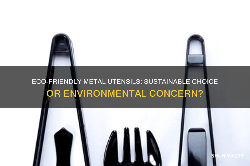 Eco-Friendly Metal Utensils: Sustainable Choice Or Environmental ...