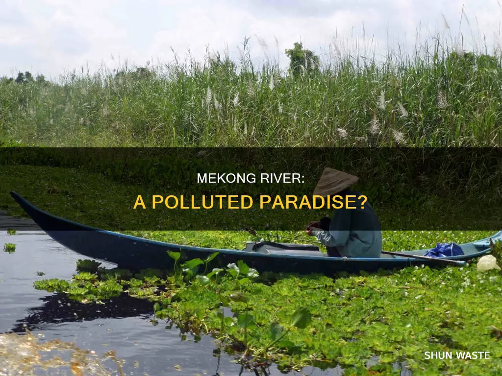 Mekong River: A Polluted Paradise? | ShunWaste