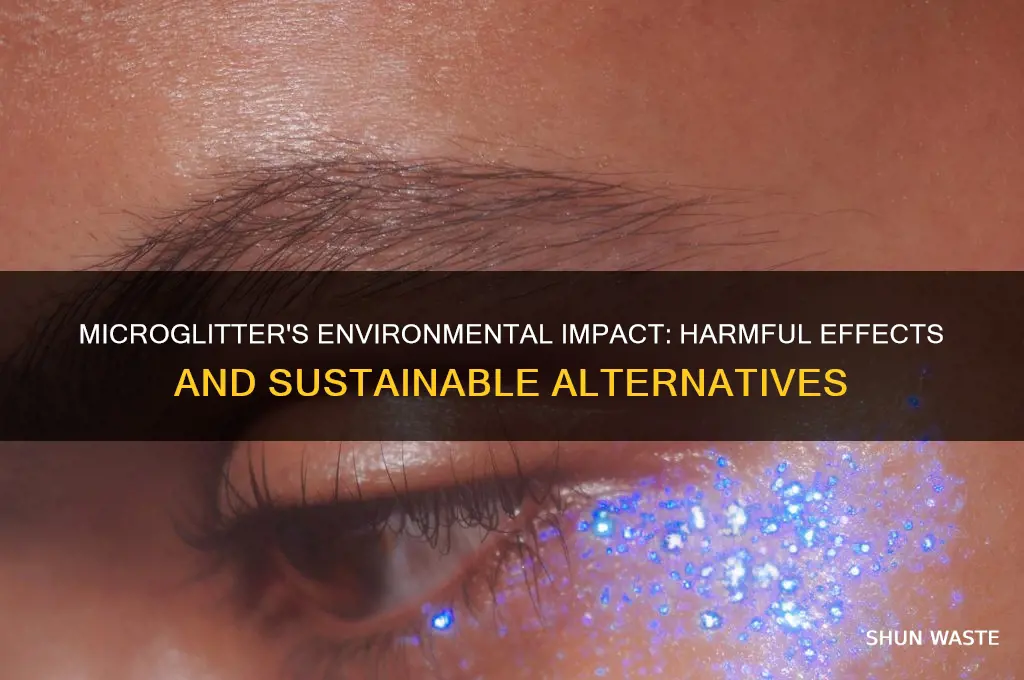 Microglitter's Environmental Impact: Harmful Effects And Sustainable ...