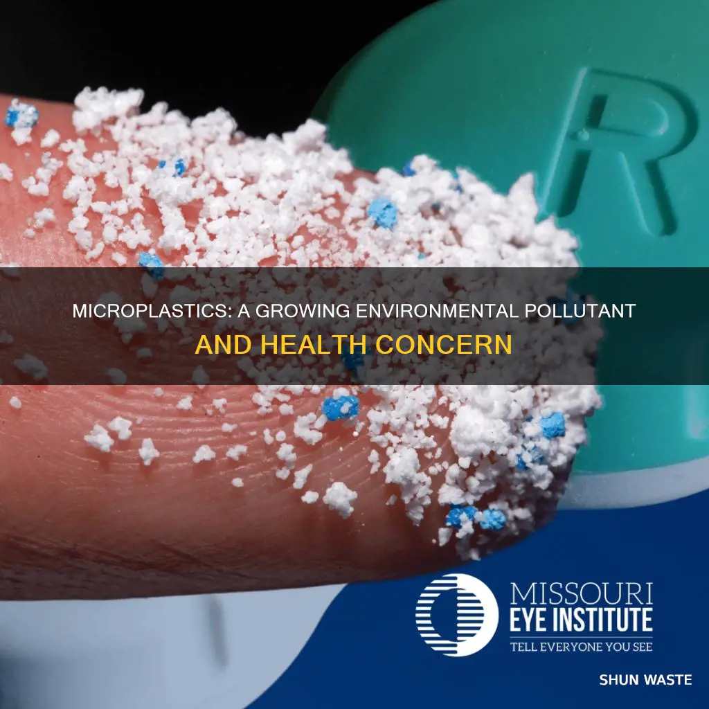 Microplastics: A Growing Environmental Pollutant And Health Concern ...
