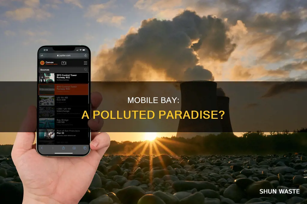 Mobile Bay: A Polluted Paradise? | ShunWaste