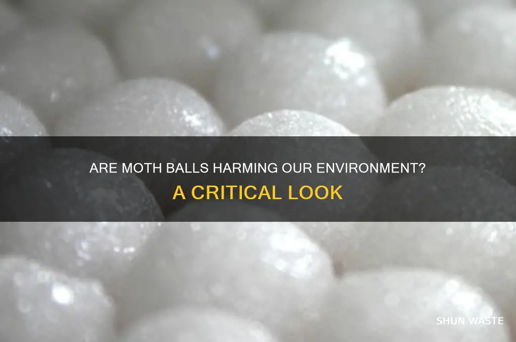 Are Moth Balls Harming Our Environment? A Critical Look | ShunWaste