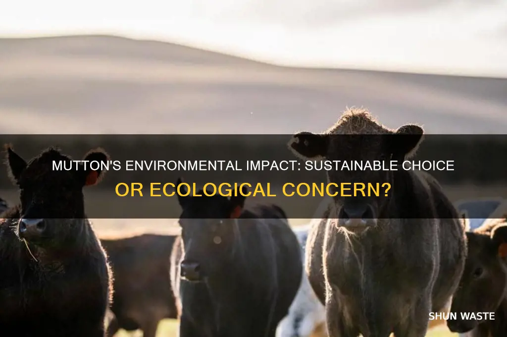 Mutton's Environmental Impact: Sustainable Choice Or Ecological Concern ...
