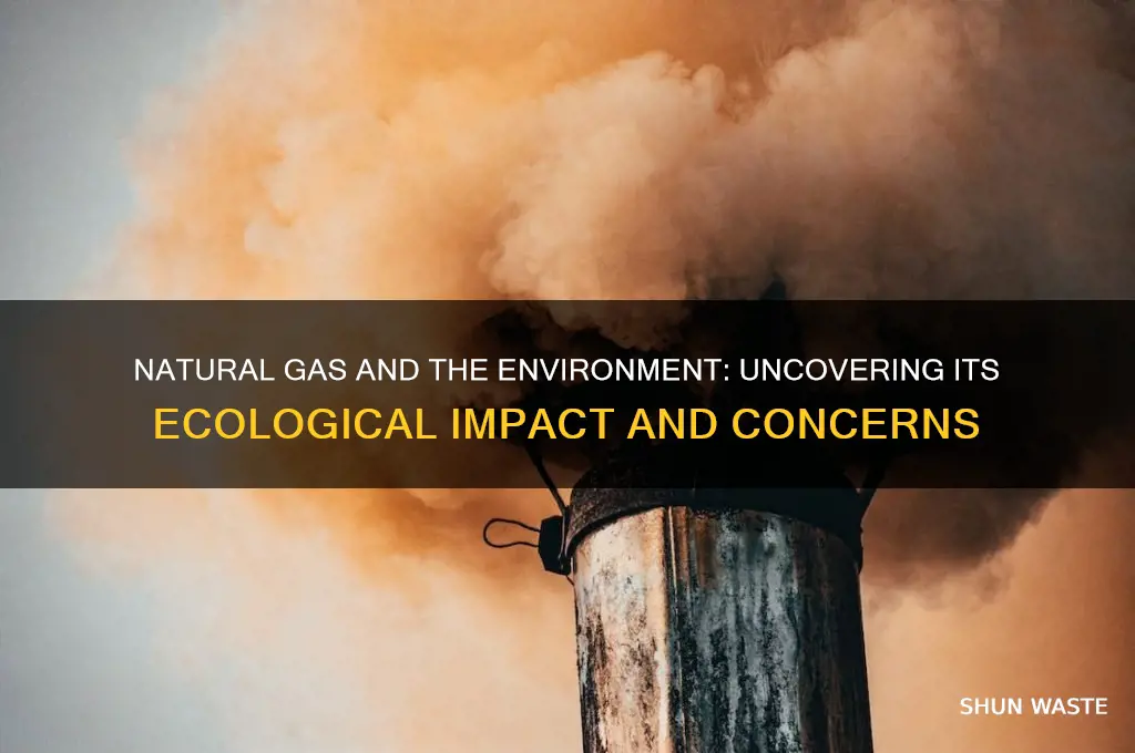 Natural Gas And The Environment: Uncovering Its Ecological Impact And ...
