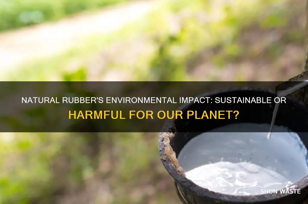 Natural Rubber's Environmental Impact: Sustainable Or Harmful For Our ...