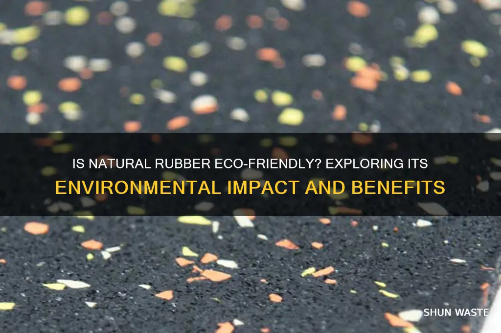 Is Natural Rubber Eco-Friendly? Exploring Its Environmental Impact And ...