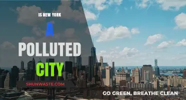 Harbor Health: Is New York's Harbor Polluted? | ShunWaste
