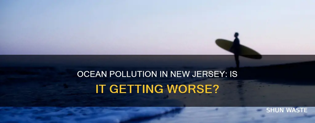 Ocean Pollution In New Jersey: Is It Getting Worse? | ShunWaste