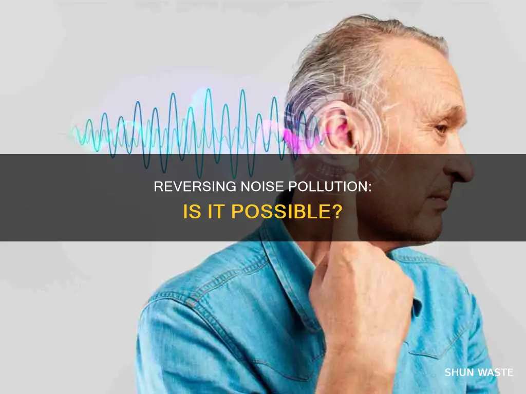 Reversing Noise Pollution: Is It Possible? | ShunWaste