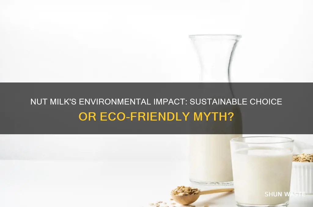 Nut Milk's Environmental Impact: Sustainable Choice Or Eco-Friendly ...