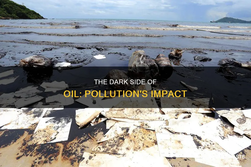 The Dark Side Of Oil: Pollution's Impact | ShunWaste