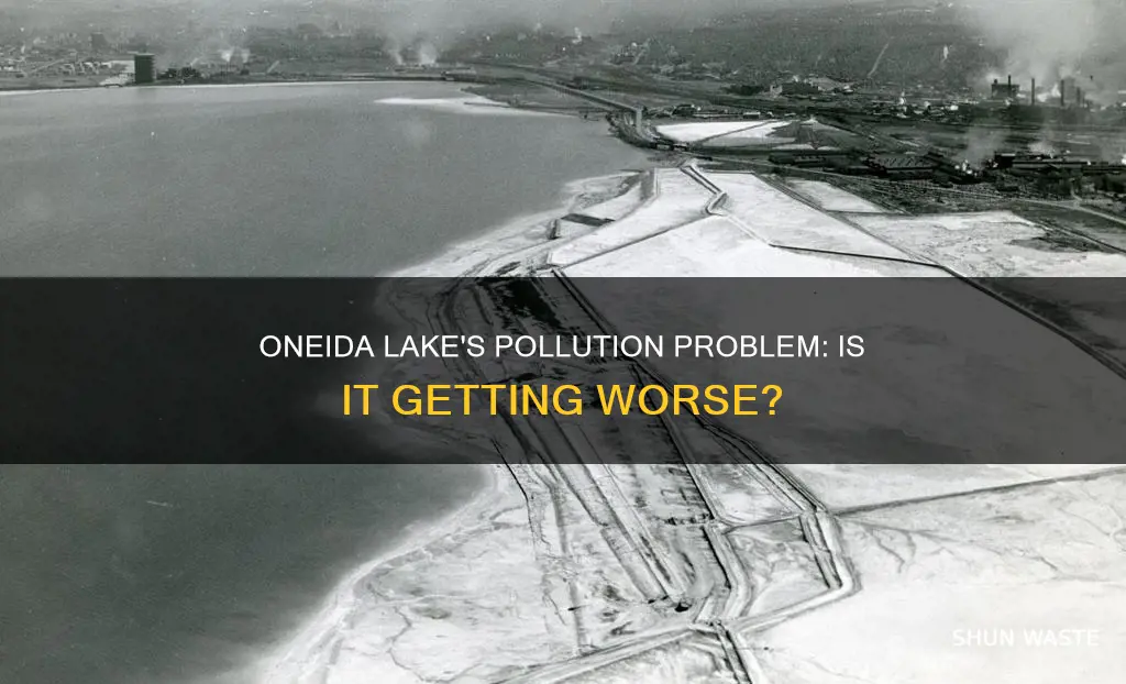 Oneida Lake's Pollution Problem: Is It Getting Worse? | ShunWaste