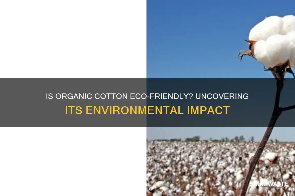 Is Organic Cotton Eco-Friendly? Uncovering Its Environmental Impact ...