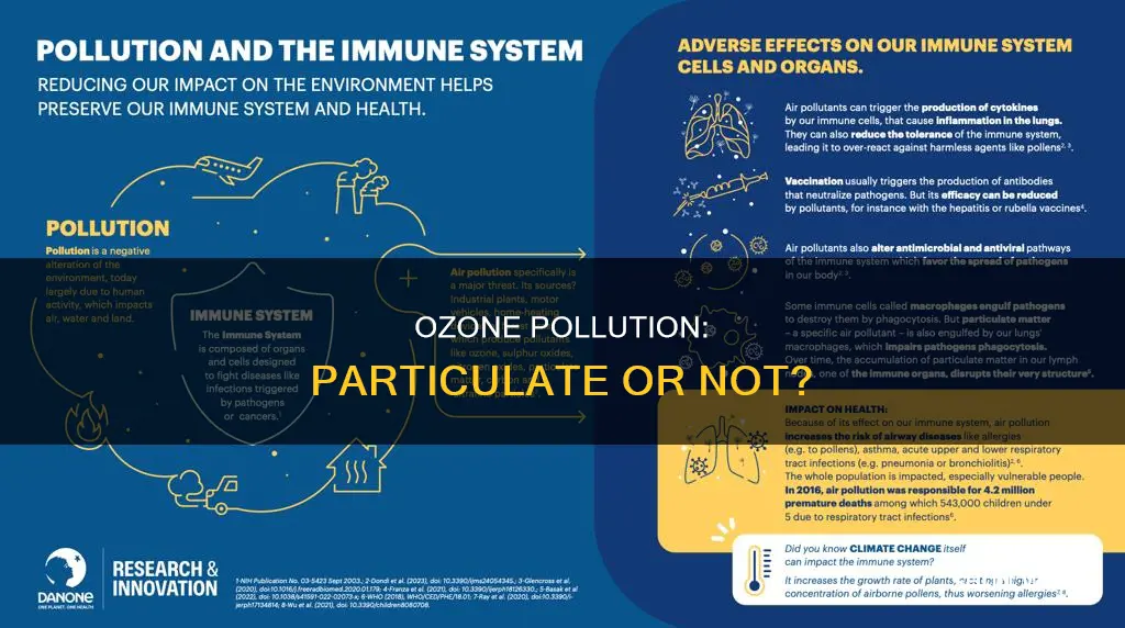 Ozone Pollution: Particulate Or Not? | ShunWaste