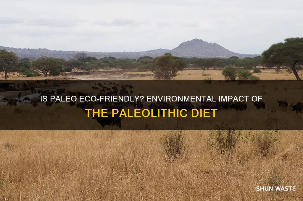 Is Paleo Eco-Friendly? Environmental Impact Of The Paleolithic Diet ...
