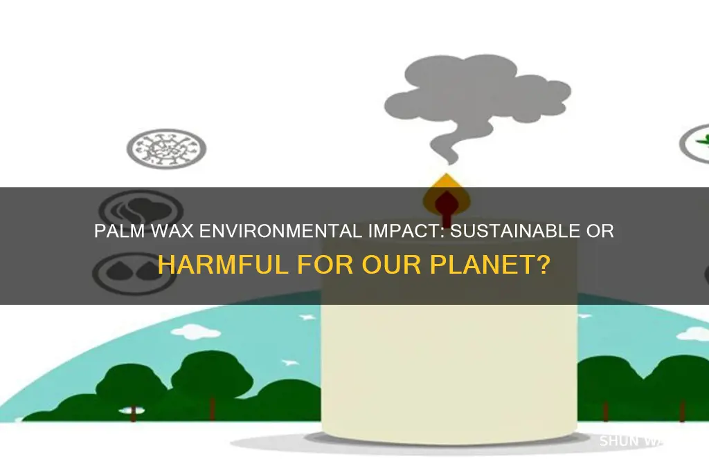 Palm Wax Environmental Impact: Sustainable Or Harmful For Our Planet ...