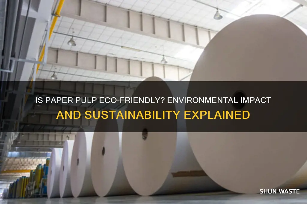 Is Paper Pulp Eco-Friendly? Environmental Impact And Sustainability ...