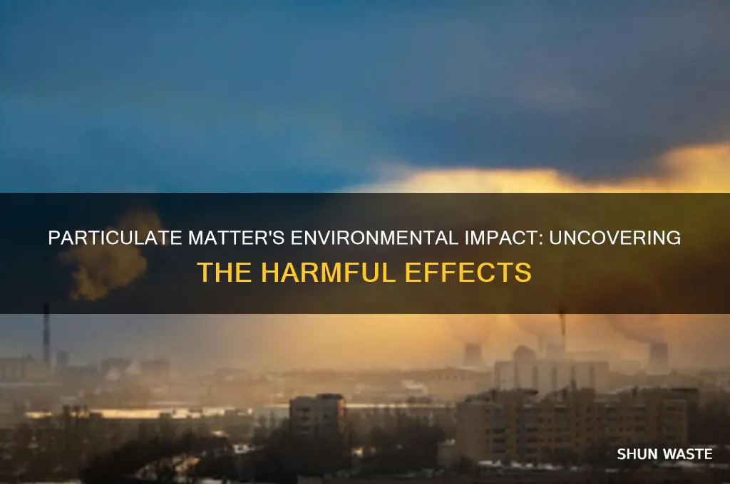 Particulate Matter's Environmental Impact: Uncovering The Harmful ...
