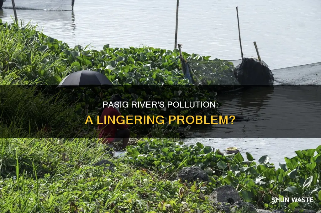 Pasig River's Pollution: A Lingering Problem? | ShunWaste