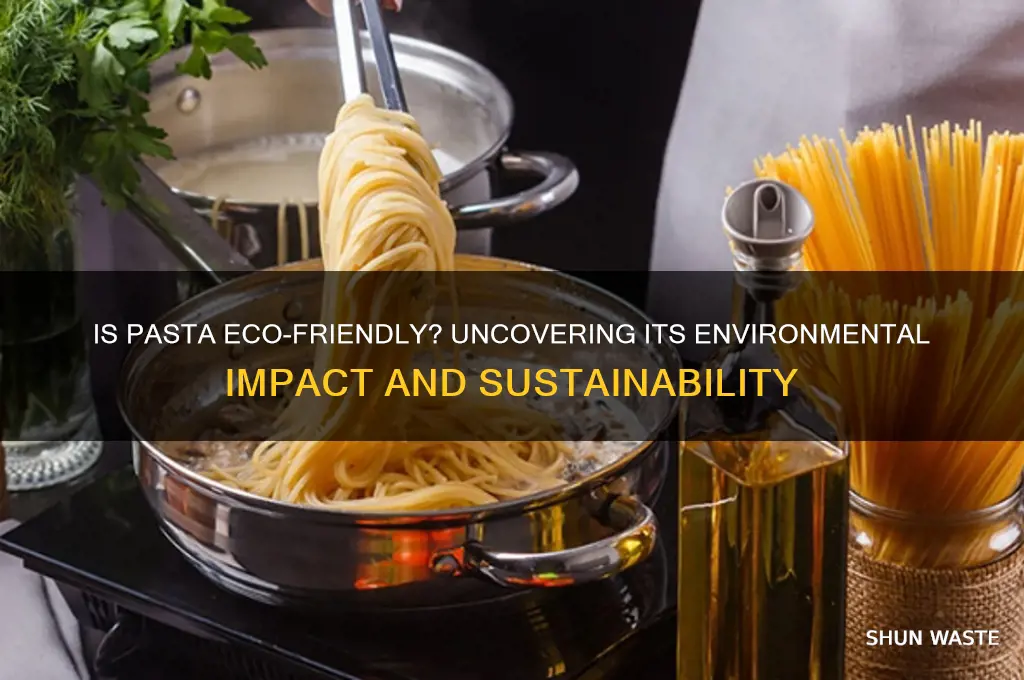 Is Pasta Eco-Friendly? Uncovering Its Environmental Impact And ...