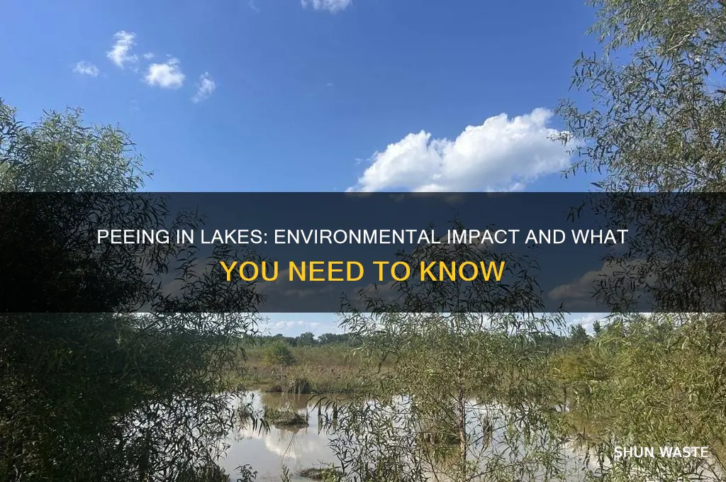 Peeing In Lakes: Environmental Impact And What You Need To Know | ShunWaste