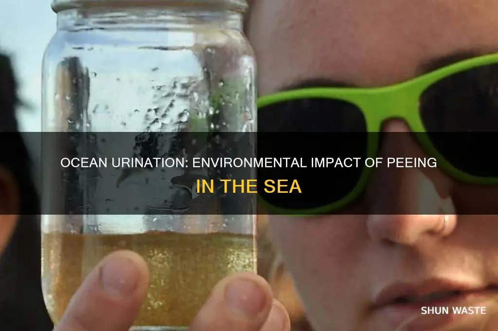 Ocean Urination: Environmental Impact Of Peeing In The Sea | ShunWaste