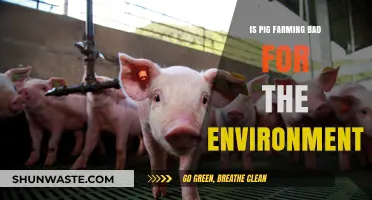 Phosphate's Environmental Impact: Uncovering Its Hidden Ecological ...