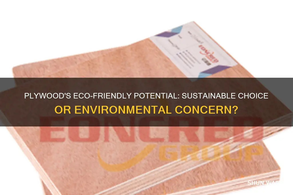 Plywood's Eco-Friendly Potential: Sustainable Choice Or Environmental ...