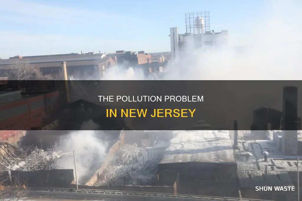 The Pollution Problem In New Jersey | ShunWaste