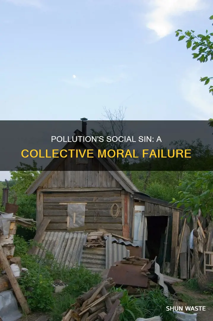 Pollution's Social Sin: A Collective Moral Failure | ShunWaste