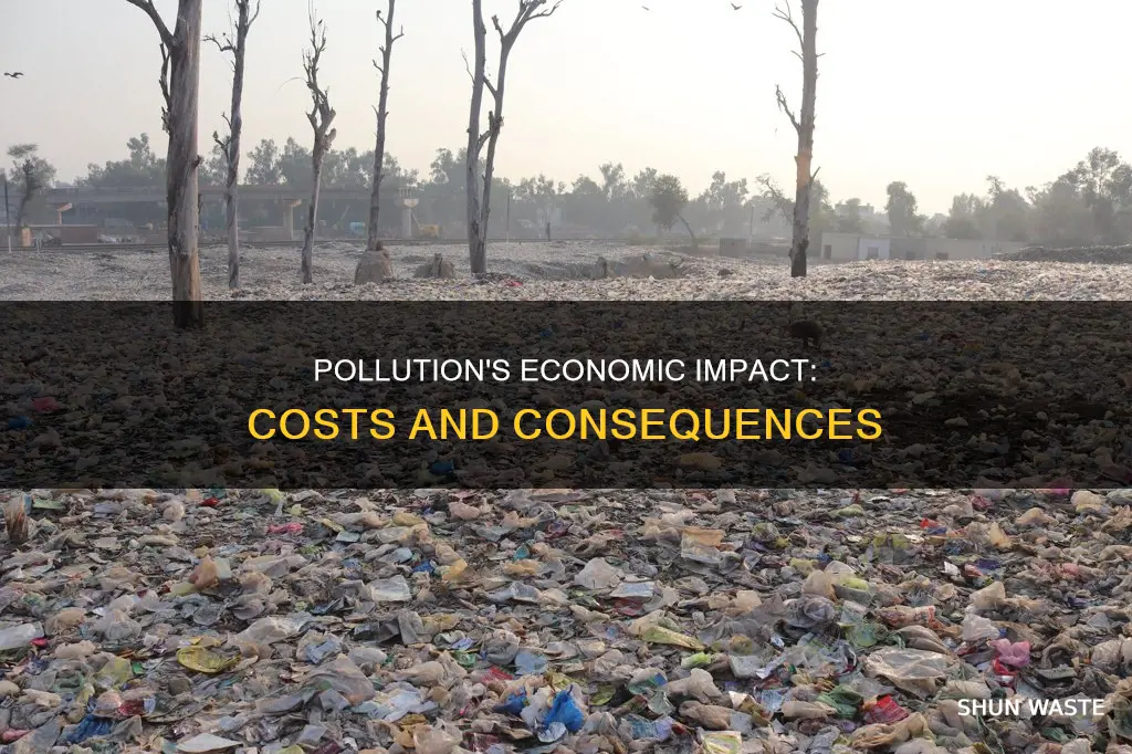 Pollution's Economic Impact: Costs And Consequences | ShunWaste