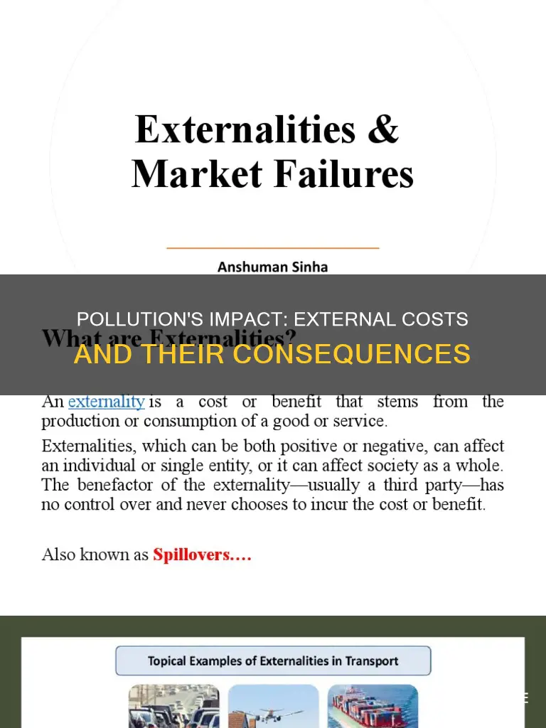 Pollution's Impact: External Costs And Their Consequences | ShunWaste