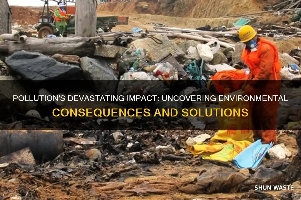 Pollution's Devastating Impact: Uncovering Environmental Consequences ...