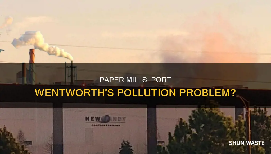 Paper Mills: Port Wentworth's Pollution Problem? | ShunWaste