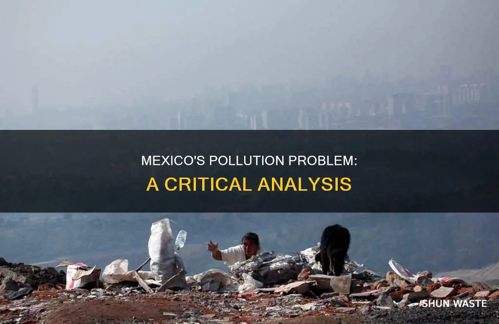 Mexico's Pollution Problem: A Critical Analysis | ShunWaste