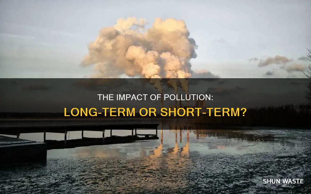 The Impact Of Pollution: Long-Term Or Short-Term? | ShunWaste