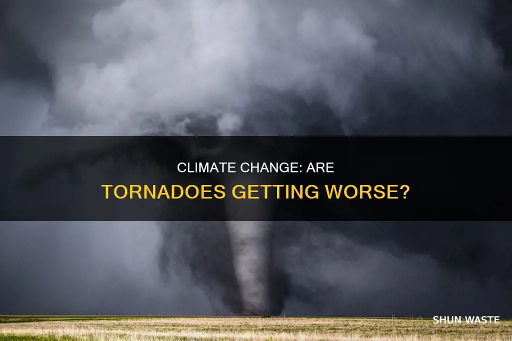 Climate Change: Are Tornadoes Getting Worse? | ShunWaste