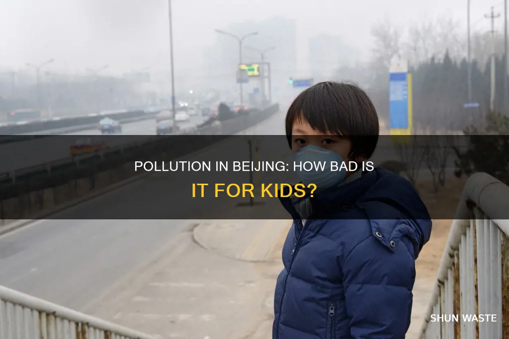 Pollution In Beijing: How Bad Is It For Kids? | ShunWaste