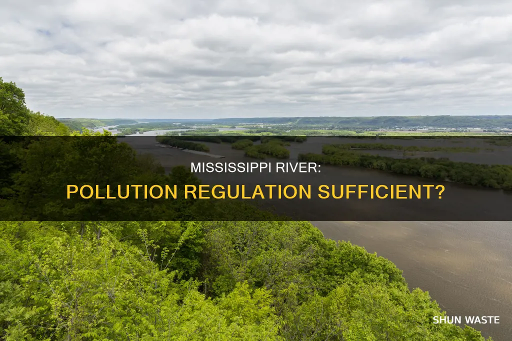 Mississippi River: Pollution Regulation Sufficient? | ShunWaste