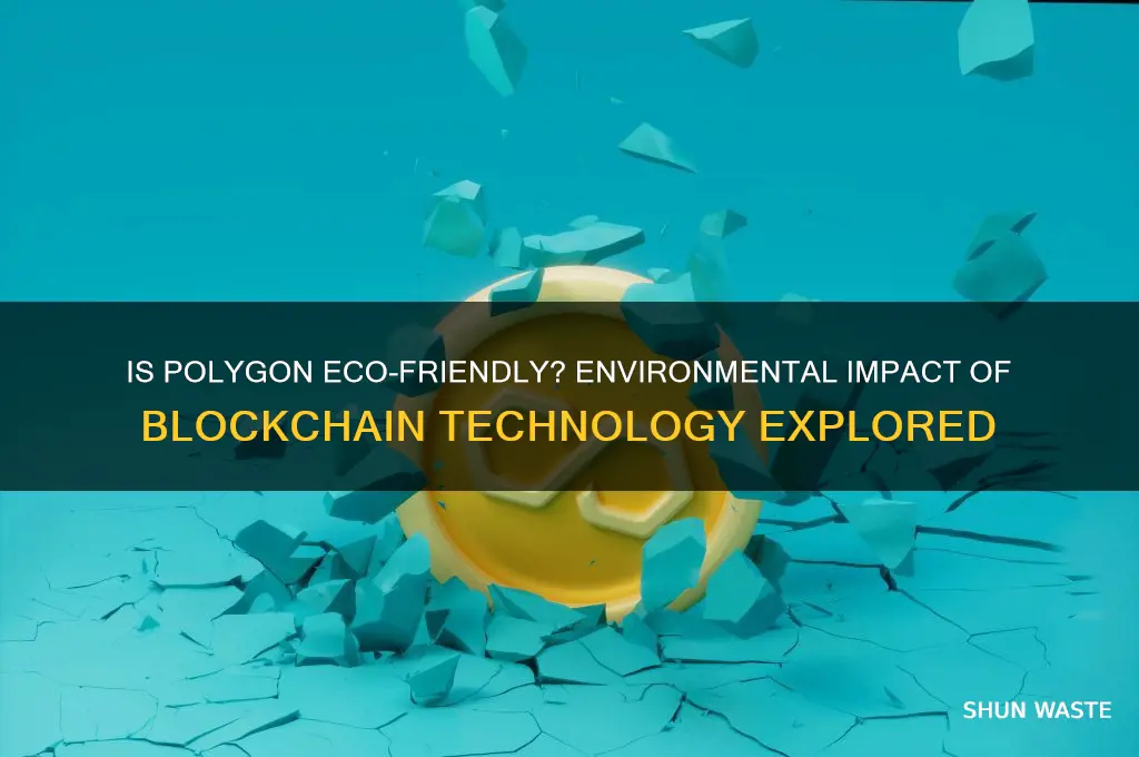 Is Polygon Eco-Friendly? Environmental Impact Of Blockchain Technology ...