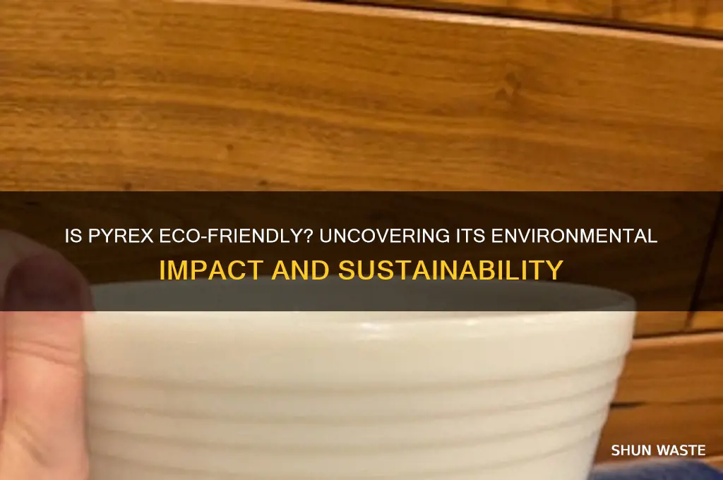 Is Pyrex Eco-Friendly? Uncovering Its Environmental Impact And ...