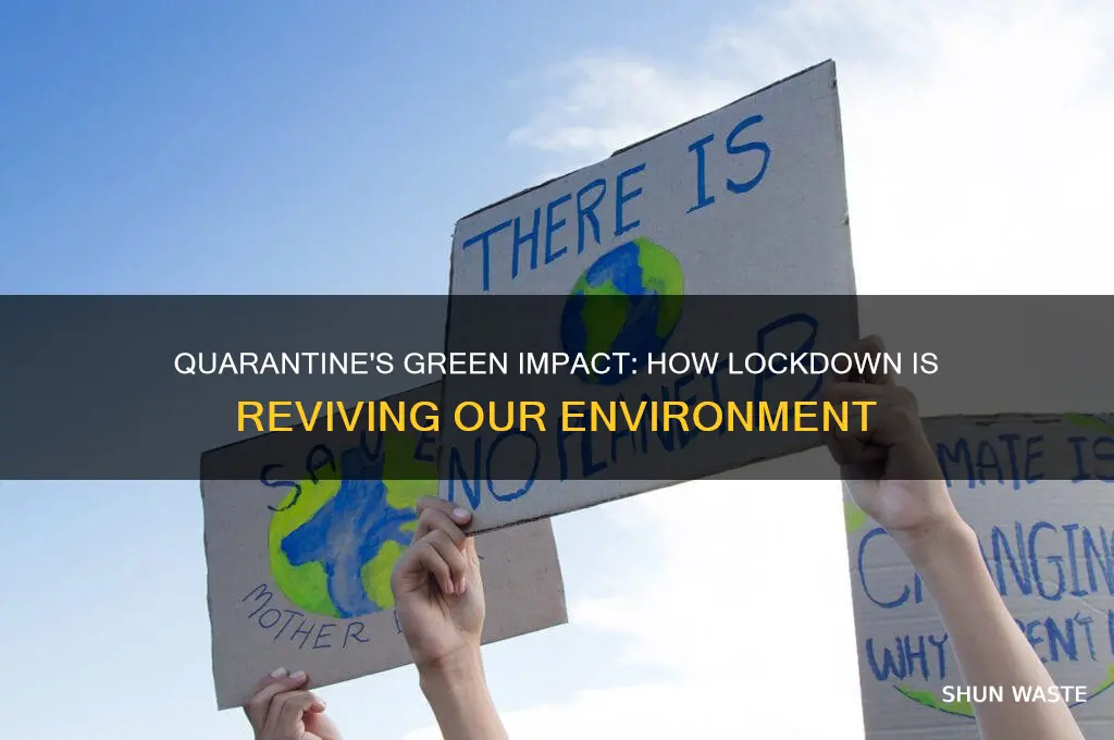 Quarantine's Green Impact: How Lockdown Is Reviving Our Environment ...