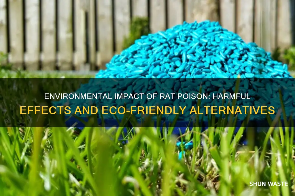 Environmental Impact Of Rat Poison: Harmful Effects And Eco-Friendly ...